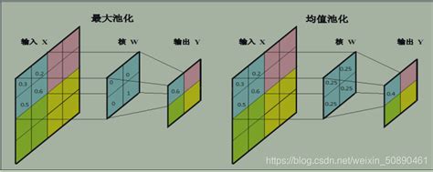 细粒度分类 cub 200 2011 vgg16 （数字图像处理） cub 200 2011 csdn博客