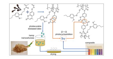Biobased Composites From Eugenol And Coumarin Derived Methacrylic Latex And Hemp Nanocellulose