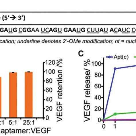 Vegf Retention And Release A The Sequence Of The Anti Vegf Aptamer