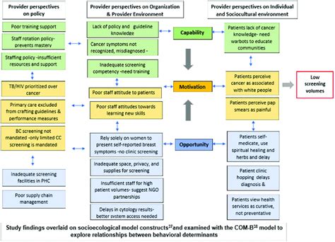 Summary Of Study Findings And Their Complex Interactions Provide Download Scientific Diagram