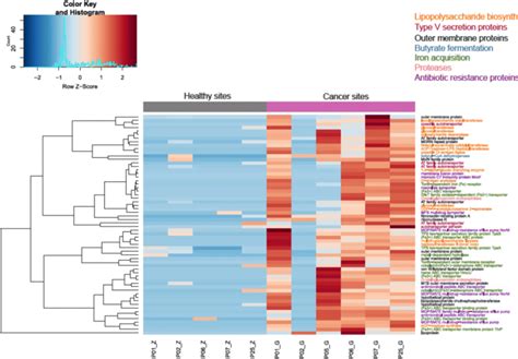 Clustered Heatmap Of Pearson Correlation Coefficient For Significantly