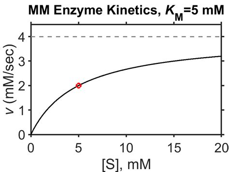 Enzyme Kinetics Cheat Sheet At Kathy Foley Blog Enzyme Kinetics Cheat Sheet At Kathy Foley Blog