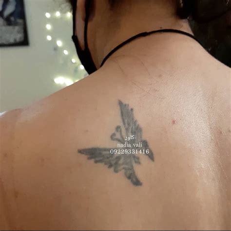 تتو کاور تتوی قدیمی تاتو شکم و بدن