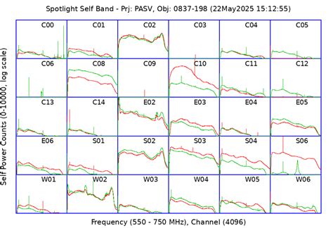 Spotlight Monitoring Correlator Amplitudeself