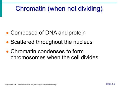 Chapter 2 Cellular Structure And Physiology Pdf