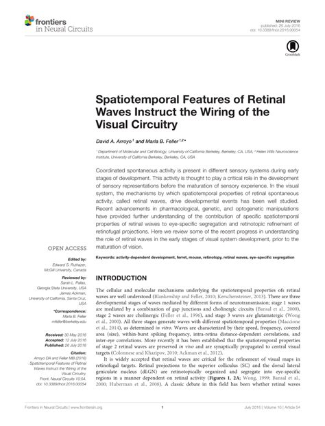 Pdf Spatiotemporal Features Of Retinal Waves Instruct The Wiring Of