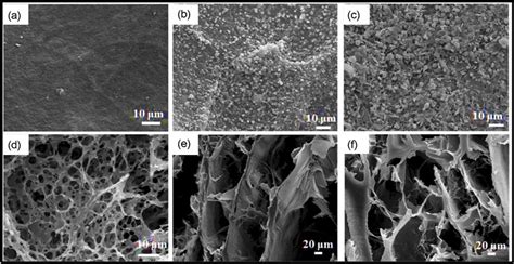 A Schematic Of Sem Micrographs Of Aerogels Surface A Ce B Cecs And C Download Scientific