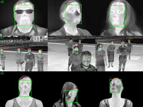Examples Of The Detected Bounding Boxes Facial Landmarks And