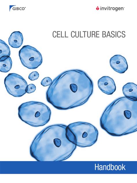41 Cell Culture Basics Pdf Cell Culture Sterilization