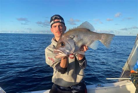 Top quality fish in the Burnett River – Bundaberg Now