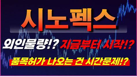 시노펙스 주가전망 외인물량 지금부터 시작 품목허가 나오는 건 시간문제 Youtube
