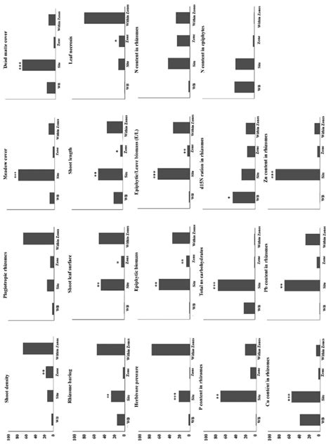 Components Of Variation At Different Spatial Scales For All Metrics Download Scientific Diagram