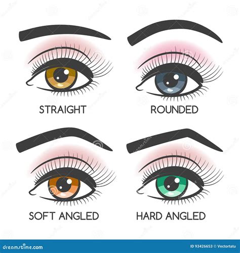 Female Eyebrows In Different Shapes Forms Stock Image CartoonDealer Com