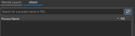 the compute can not attach the kernel on remote linux machine nsight