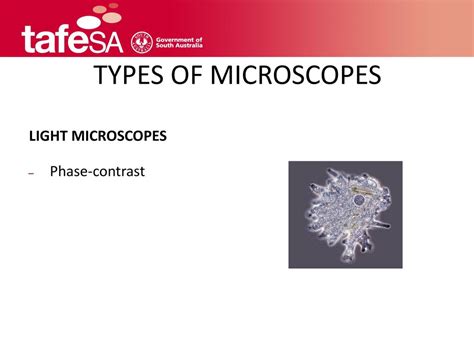 Headline Here Sub Headline Here Ppt Download