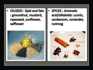 Seed Structure And Development PPT