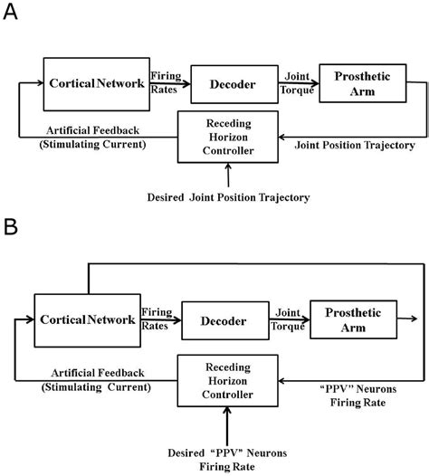 Technologies Free Full Text Designing Closed Loop Brain Machine Interfaces Using Model