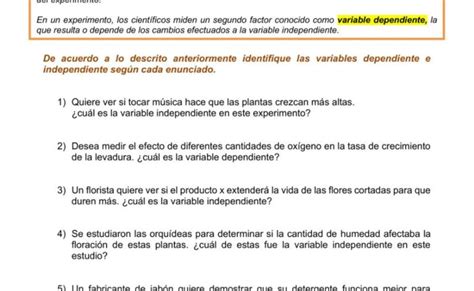 Aprende Sobre Variables Dependientes E Independientes Guía De Ejercicios Prácticos Escuela