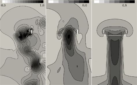 Figure Showcasing Aspects Of Simulation Initialisation For The Flapping Download Scientific