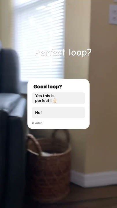 My First Loop Youtube