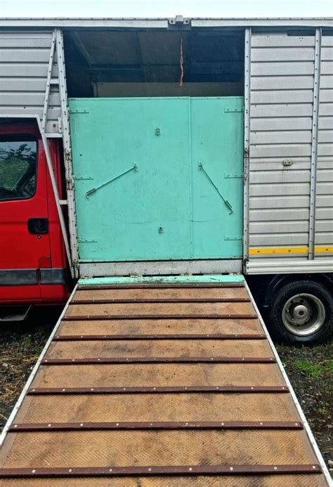 65t Iveco Horsebox Massive 5t Payload 7900 Genuine Miles Side