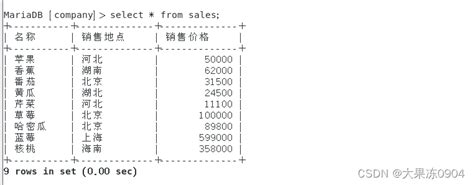 Mysql练习创建数据库并在数据表中插入数据在sales表中插入上表中的数据记录 Csdn博客