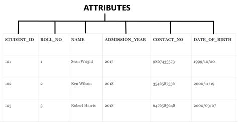 Difference Between Entity And Attribute