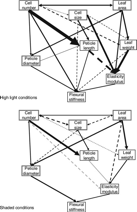 Results Of A Phenotypic Path Analysis Depicturing The Underlying Download Scientific Diagram
