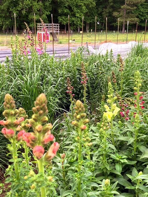 Traveling On Triangle Highways From Knightdale Nc Eastern Wake Love