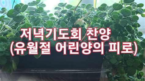 매일저녁기도회 찬양곡유월절 어린양의피로 Youtube