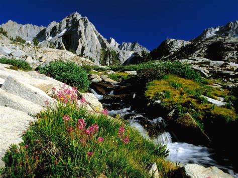 배경 화면 경치 록 자연 강 국립 공원 골짜기 산길 황야 흐름 알프스 산맥 보행 고원 가을 꽃 1600x1200 픽셀 산악 지형 지리적 특징