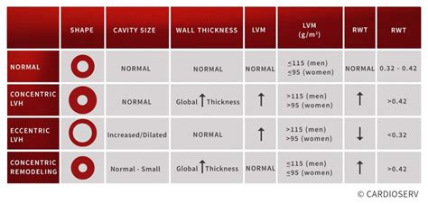 Normal Lv Diameter Echo