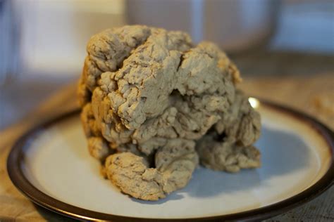 무료 이미지 요리 생기게 하다 아침 식사 디저트 초콜릿 칩 쿠키 구운 식품 Bresd 과자 쿠키와 크래커 5184x3456 436014 무료