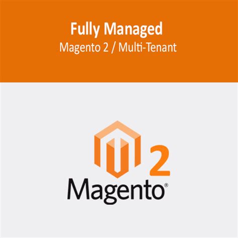 fully managed ecommerce website magento 2 platform