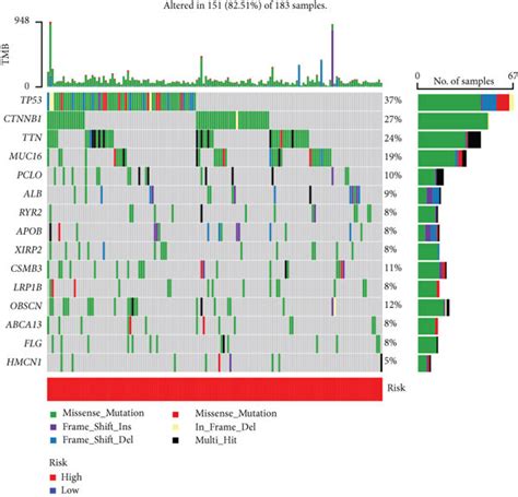 Immune Landscape And Tumor Mutation Burden Tmb In Tcga Cohort A Download Scientific