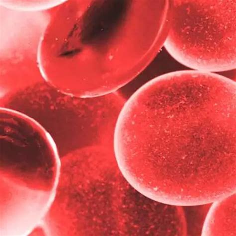 Absolute Monocyte Count Test Near You In Delhi Book Test At Low Price