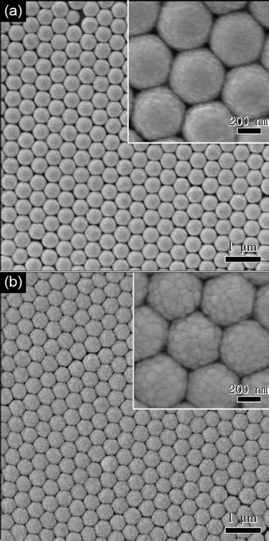 Sem Image Of Hexagonal Patterned Ag Nanodot Arrays Prepared By