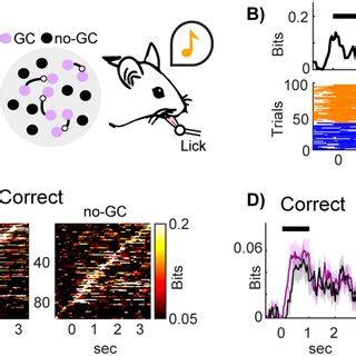 Stimulus Information In Mouse Auditory Cortex During A Tone Download Scientific Diagram