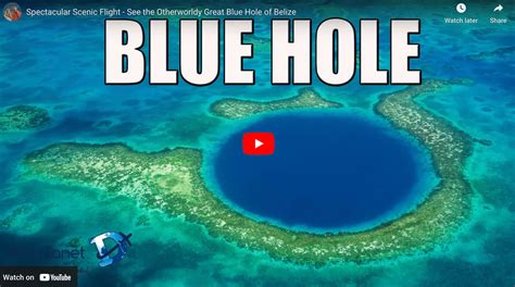 The Great Blue Hole In Belize How To See This Natural Wonder The
