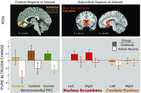 Effect Of Intervention On Neural Pure Altruism In Seven A Priori Rois