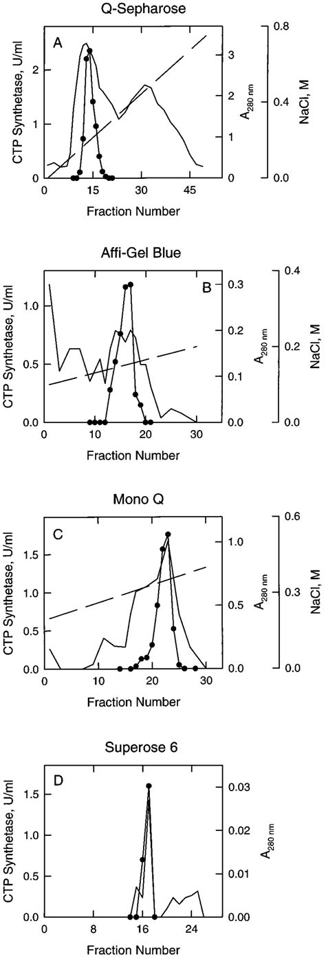 Elution Profiles Of Ura8 Encoded Ctp Synthetase Activity After Download Scientific Diagram