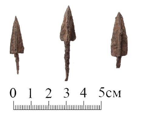 Археологи знайшли на Полтавщині артефакти які датуються часами скіфів