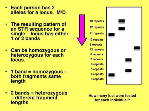 Ppt Advantages Of Str Analysis Powerpoint Presentation Free Download Id 3841115