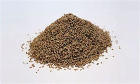 Celery Seeds Color Brown At Best Price In Rajkot Id 8207560