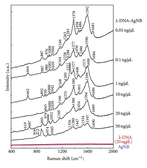 Sers Spectra Of Six λ Dna Agnb Samples Black And Two Control Samples