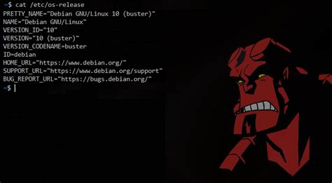 Windows Subsystem For Linux Raspberry Valley