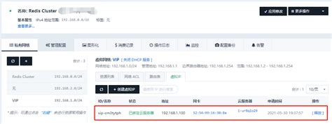 虚拟 VIP 如何使用 用户指南