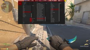 CS2 Skin Changer Darkoder Cheats And Private Softwares