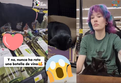Video Su Primera Chamba Michi Conmueve Trabajando En Una Tienda Nvi Noticias
