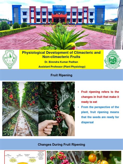 Lecture 31 26 07 2024 Pdf Botany Biology